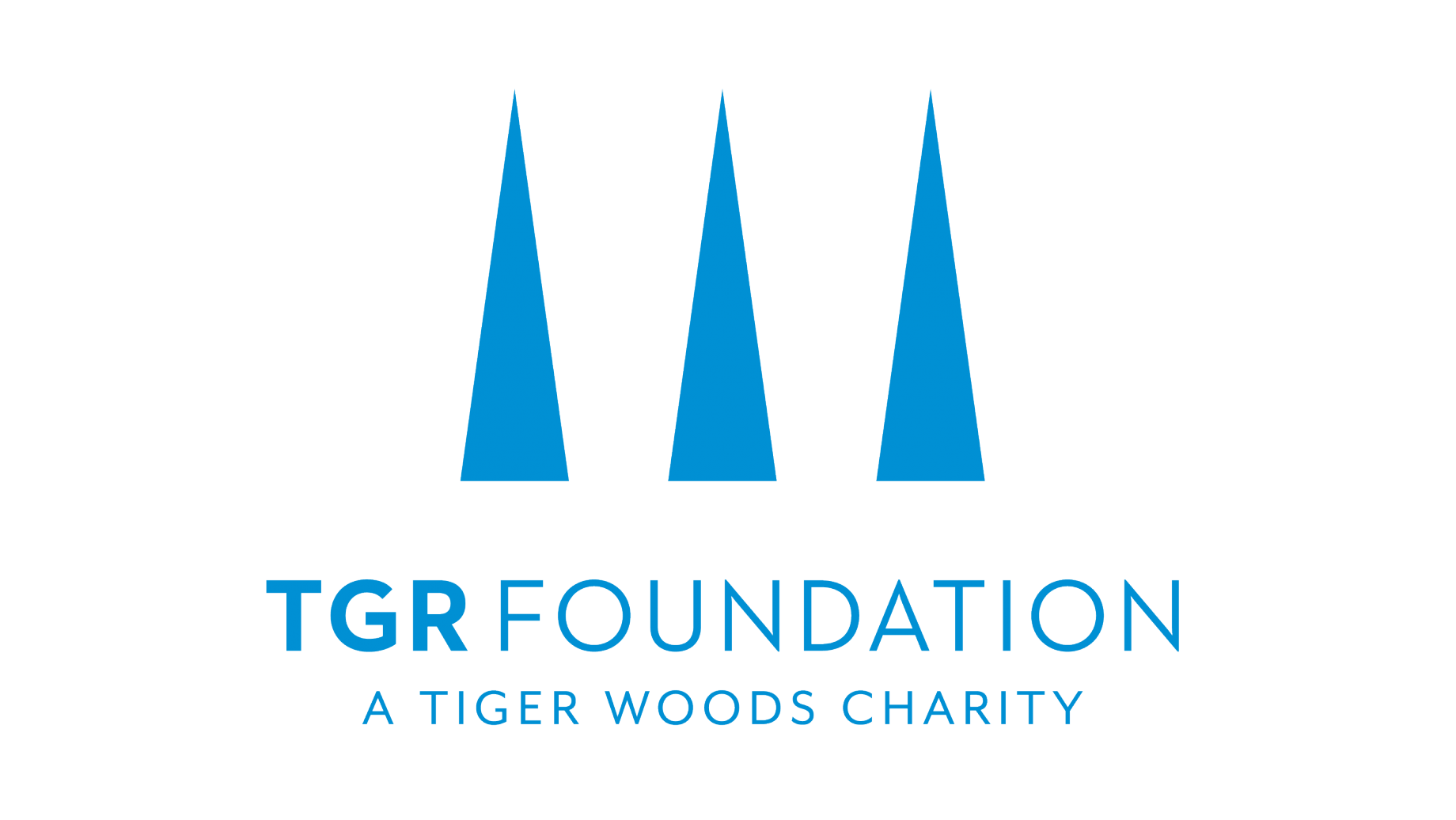 Home [www.ceesaconference.com]